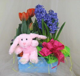 Norristown PA flowers, Norristown Pennsylvania Florist, Joseph Genuardi ...