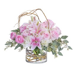 Norristown PA flowers, Norristown Pennsylvania Florist, Joseph Genuardi ...