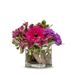 Norristown PA flowers, Norristown Pennsylvania Florist, Joseph Genuardi ...